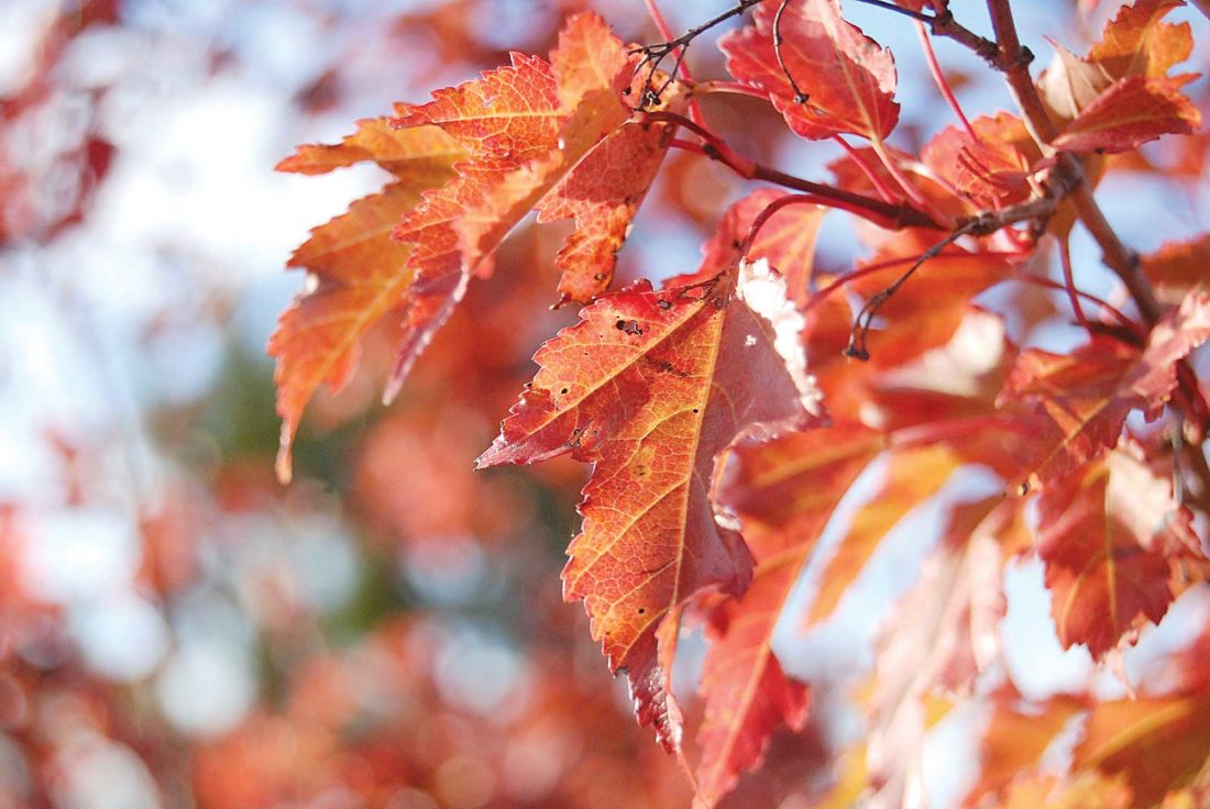 Meet the artist – Name: Reverend Erin Lynn Gullickson; Current Hometown ...